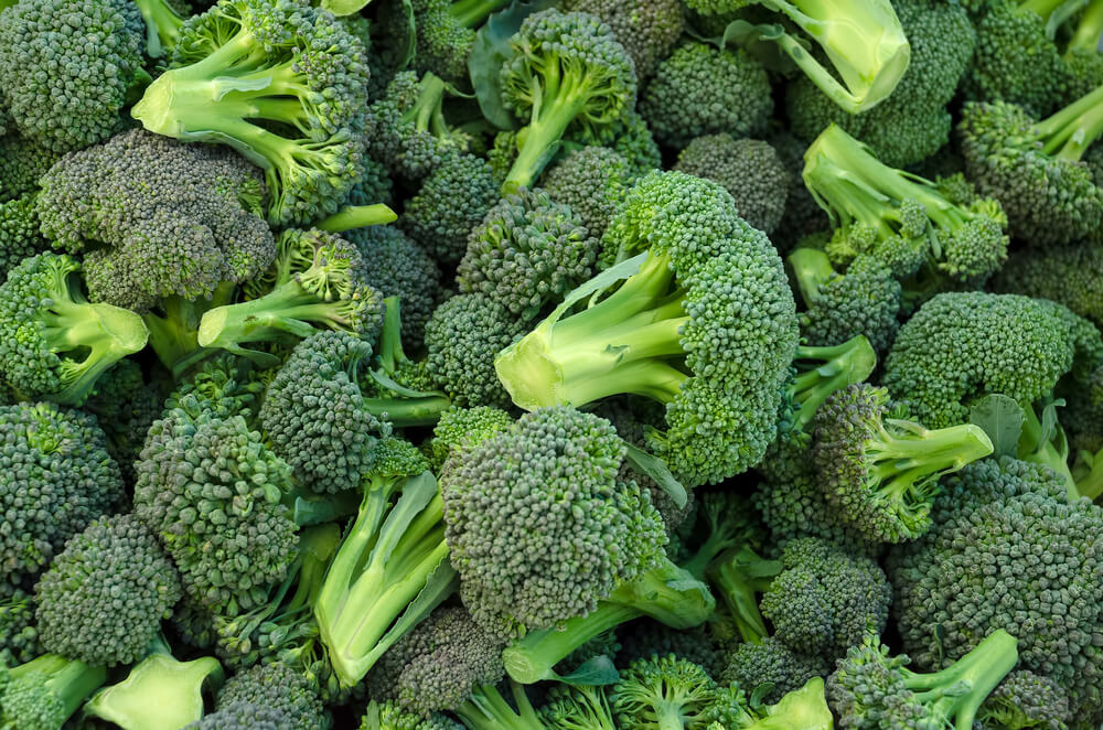 Ricette a base di broccoli - Vivere più sani