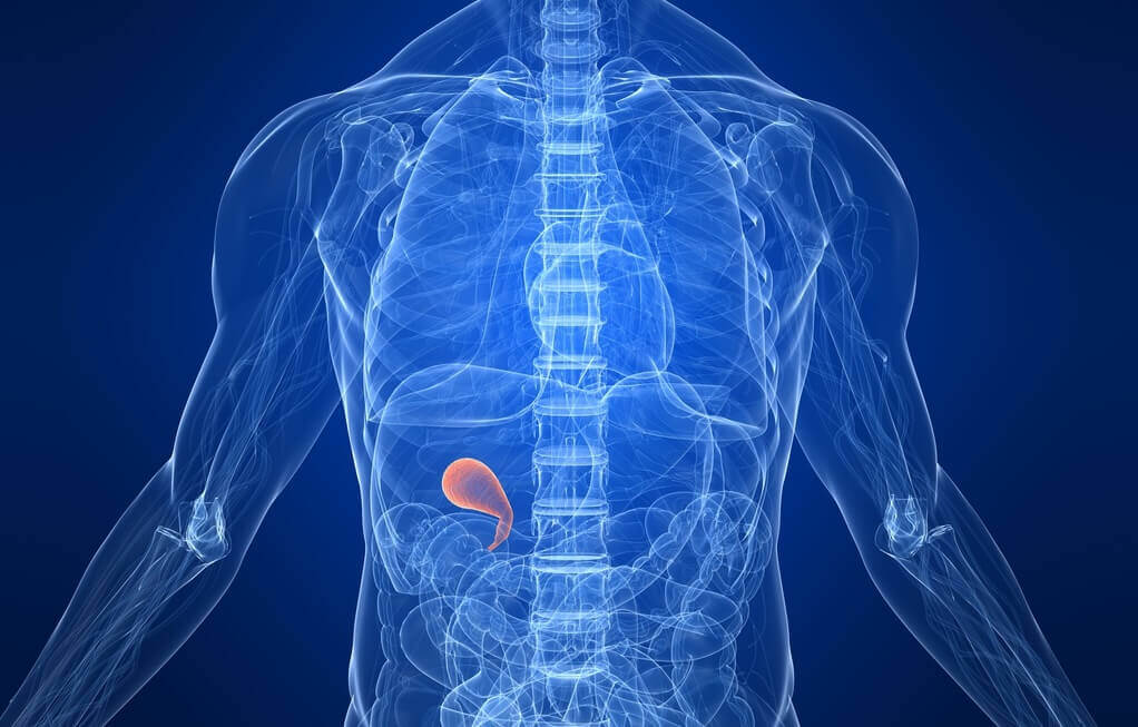 Contrastare i calcoli alla cistifellea: cosa mangiare? - Vivere più sani