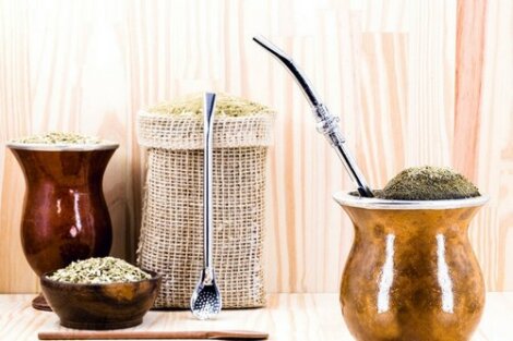 Yerba mate: l'erba che aiuta a perdere peso - Vivere più sani
