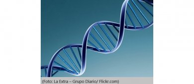 Gemelli monozigoti ed eterozigoti: quali differenze? - Vivere più sani