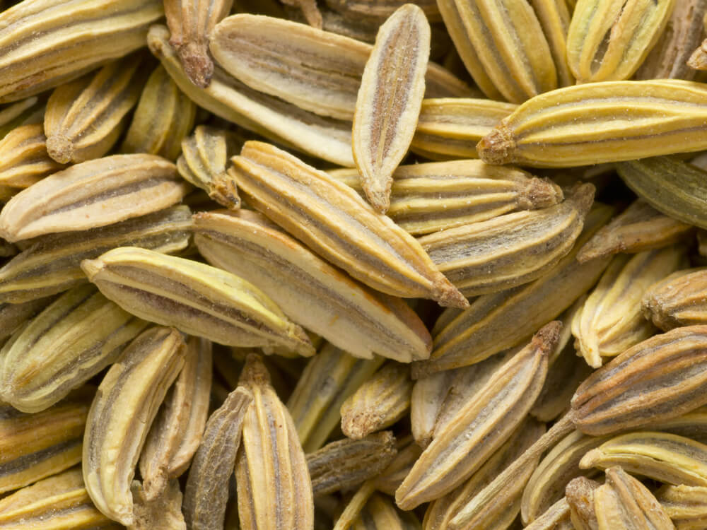 Dimagrire con i semi di finocchio con 3 rimedi naturali - Vivere più sani